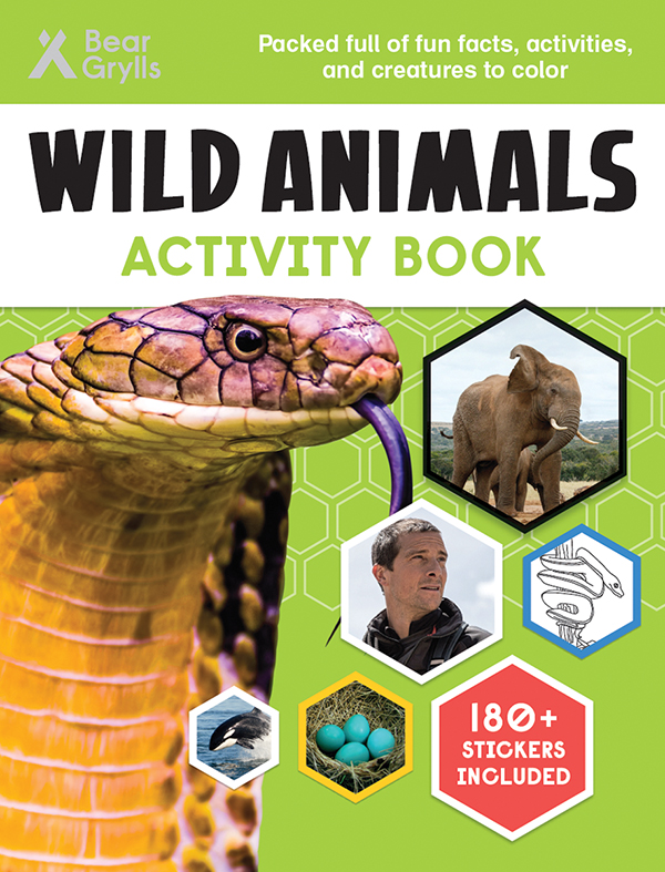 USBORNE - WILD ANIMALS ACTIVITY BOOK - The Stationery Store ...