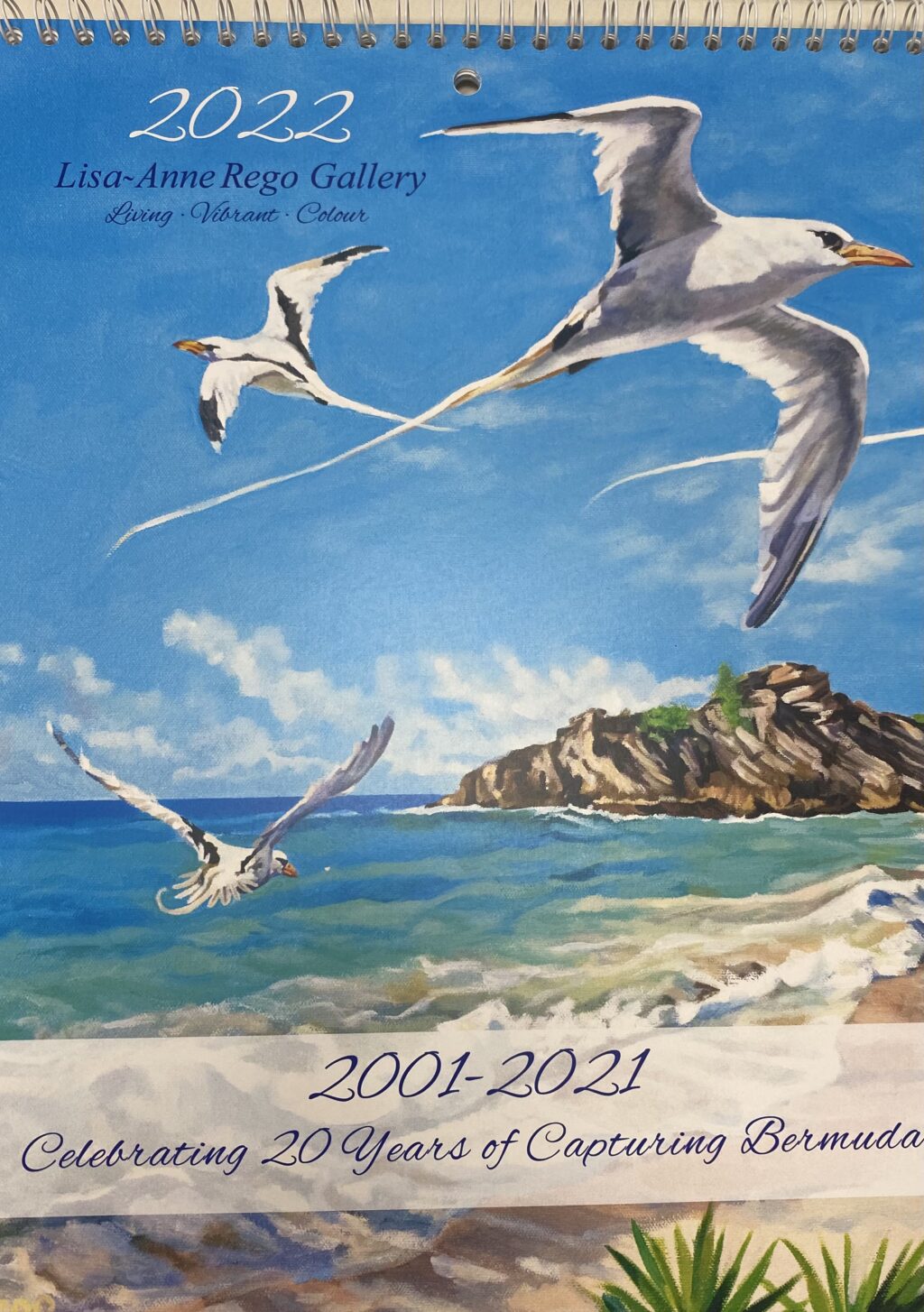 Lisa-Anne Rego Gallery Calendar - The Stationery Store & Authorized ...